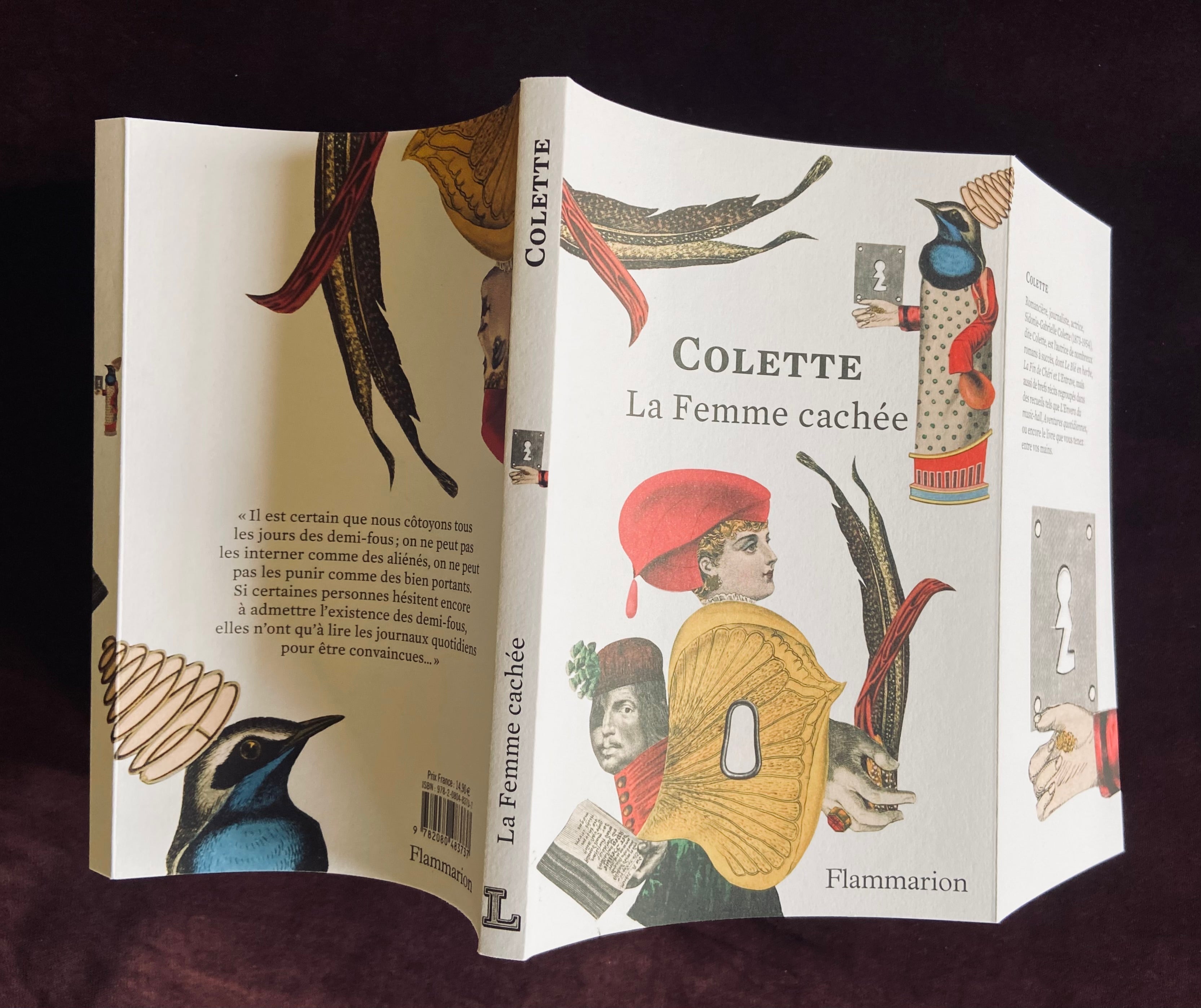 Emmanuel Pierre (エマニュエル・ピエール) x Flammarion “Édition anniversaire 150 a ...
